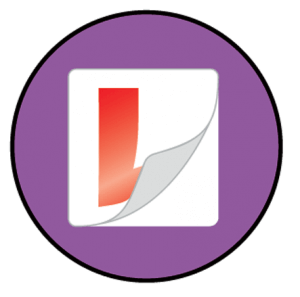 Be more visible whilst learning to drive with the Insight L and P plates